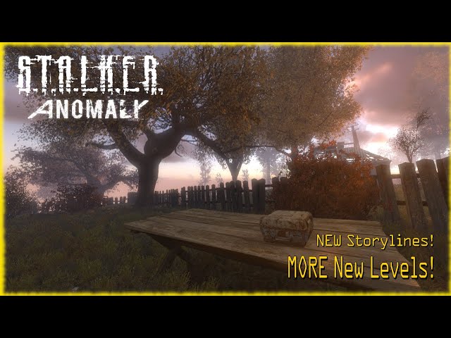 The Anomaly