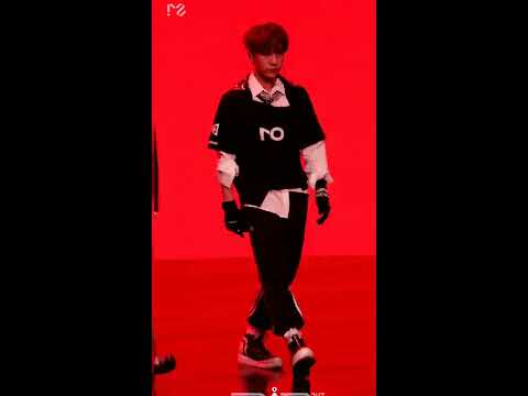 SUPER M _ TEN _ TIGER INSIDE MIRRORED FANCAM