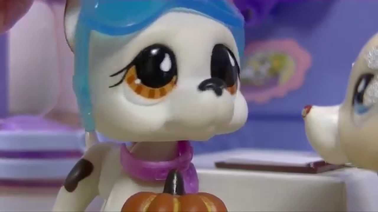 LPS: 5 Year Anniversary Video! + Special Announcement!! - YouTube