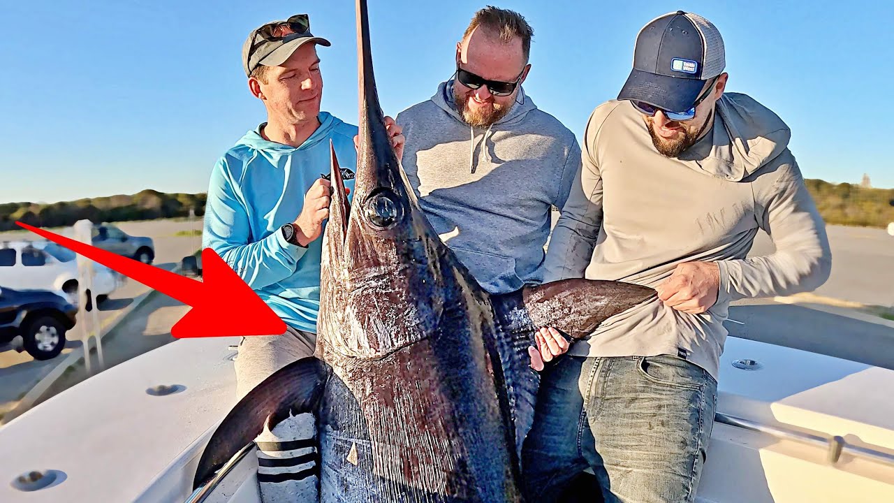 Can’t Believe I Saw This MYSTERIOUS Fish in Person! 😮 - YouTube