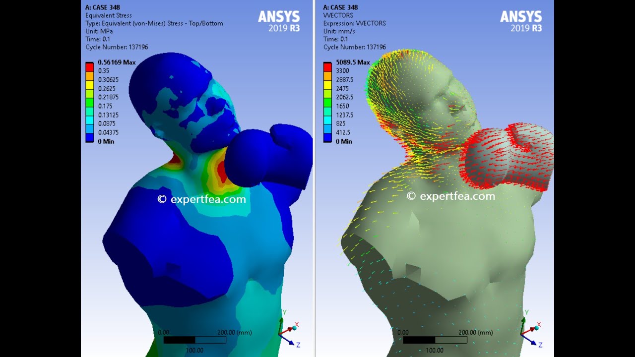 FEA Simulation of Punching a Boxing Bob - ANSYS Workbench Explicit ...