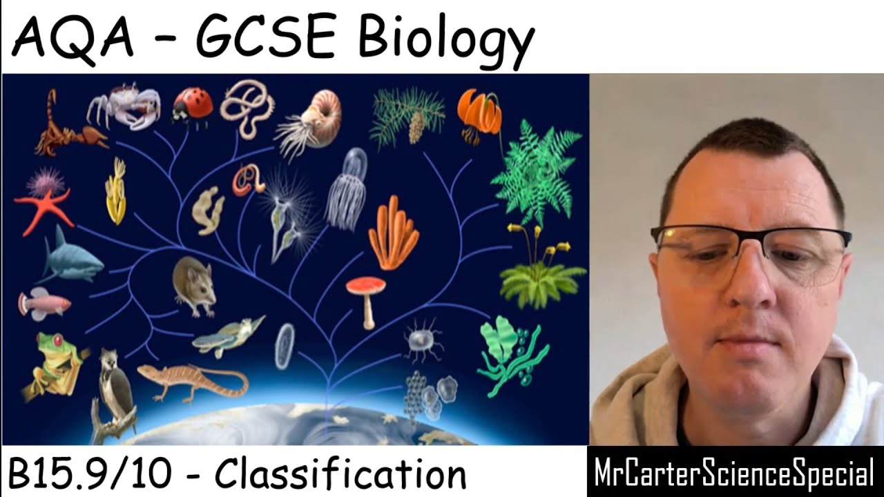B15.9/10 - Classification - AQA Biology GCSE 9-1 - YouTube