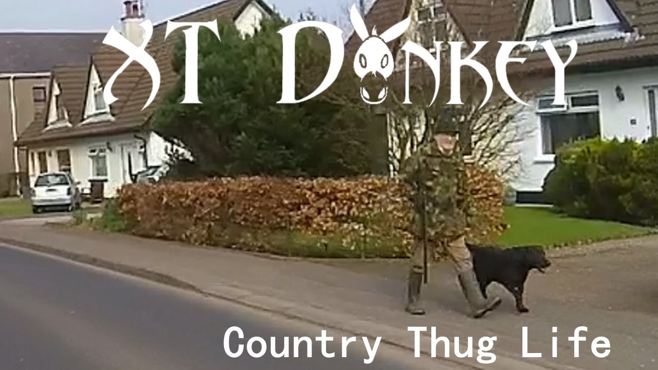 Country Thug Life - YouTube