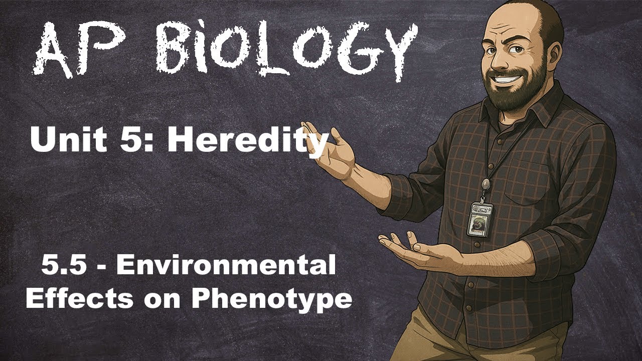 AP Bio Unit 5 – Topic 5.5 – Environmental Effects on Phenotype - YouTube