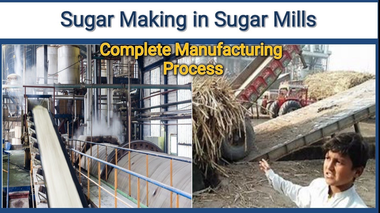 Sugar factory video | sugarcane se sugar kaise banate hein? | Sugar mill visit | JDW | # ...