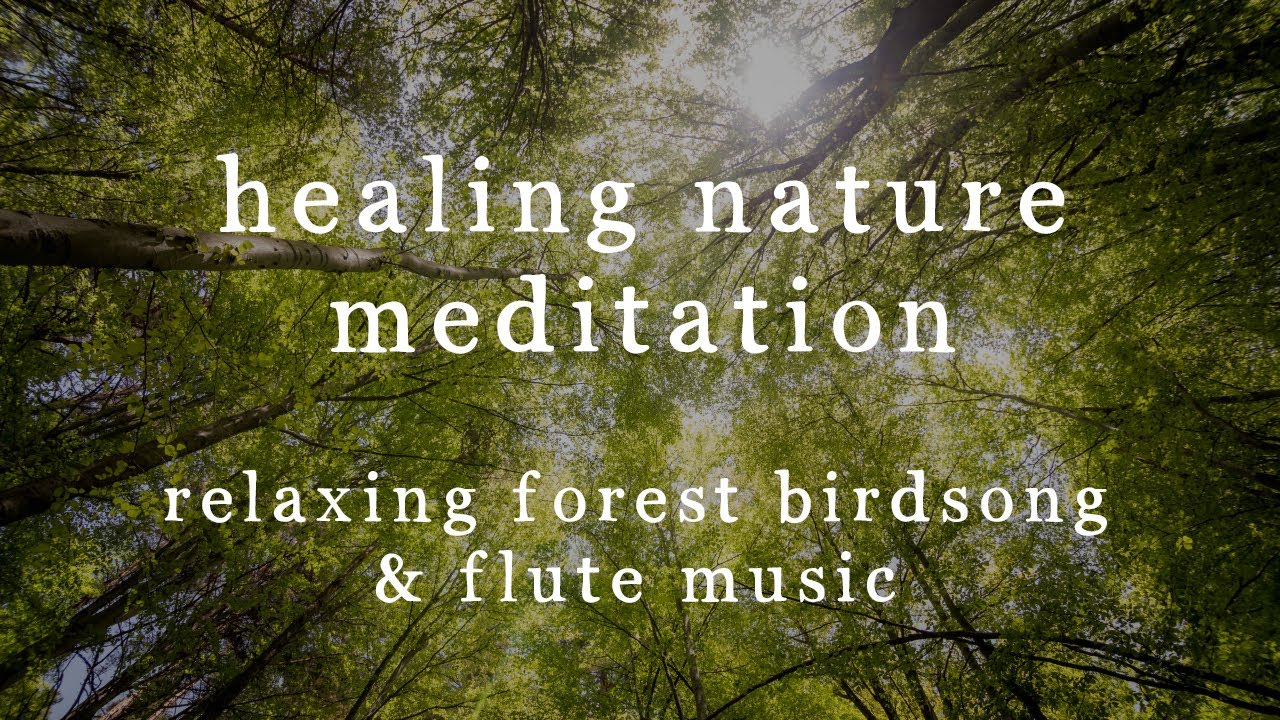 Forest Glade - Healing Nature Meditation - Relaxing Birdsong & Flute ...