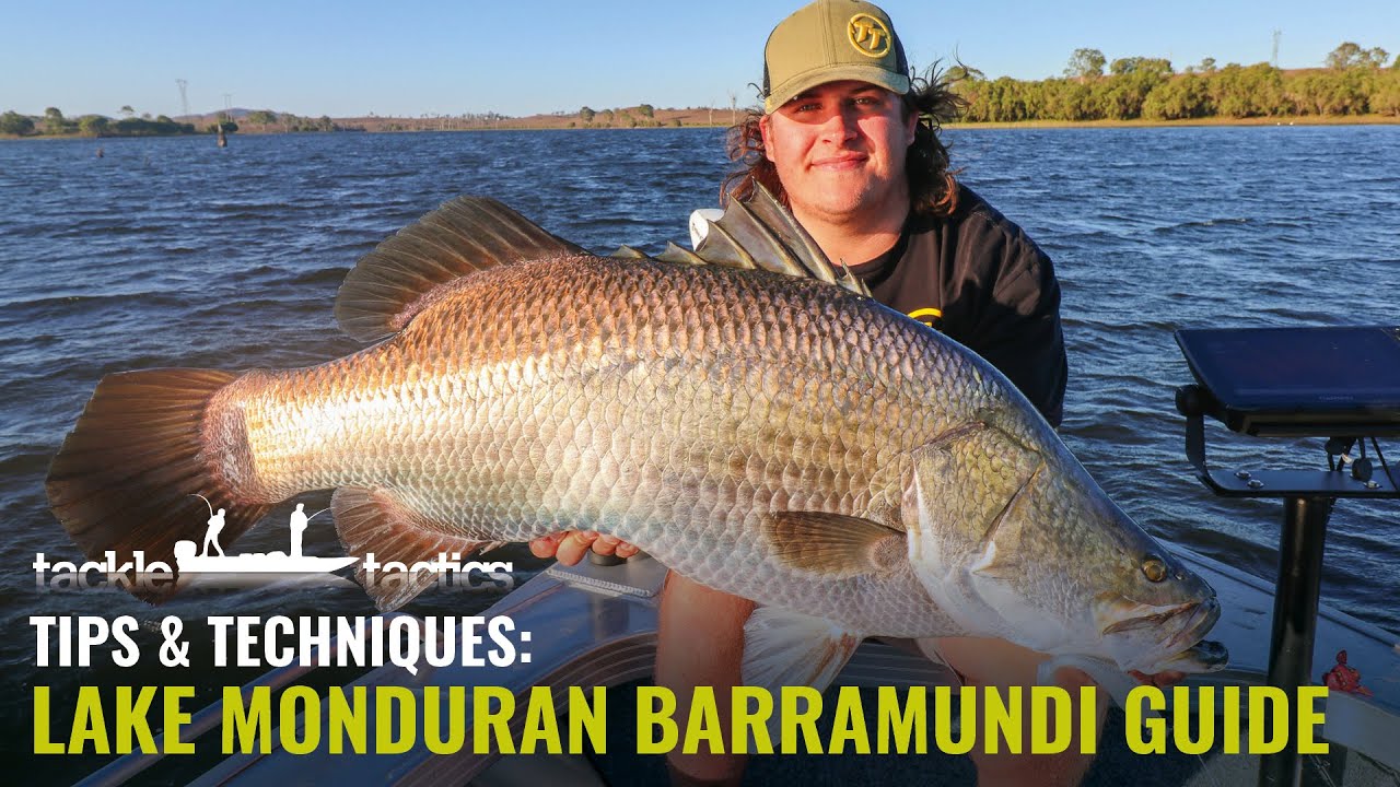 Lake Monduran Fishing Guide - How to Fish Lures for Impoundment ...