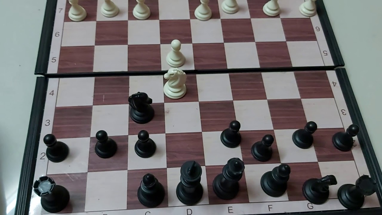 how 🤔 trap your opponents queen with petroff defence - YouTube