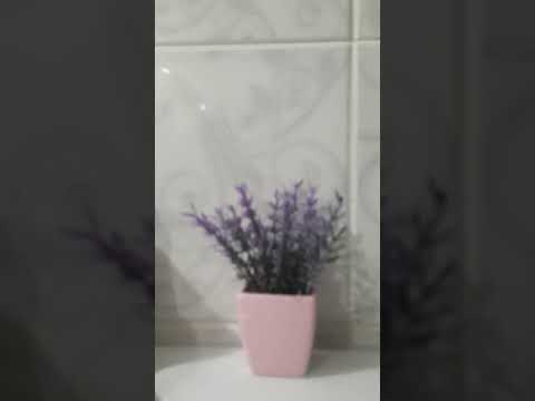Slow şarkımız