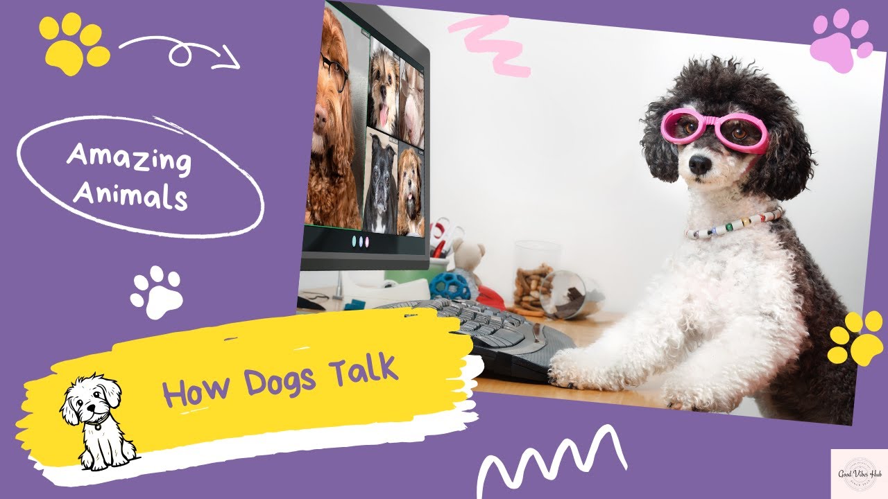 How Dogs Talk: Woofs & Wags... Understanding Dog Talk - YouTube
