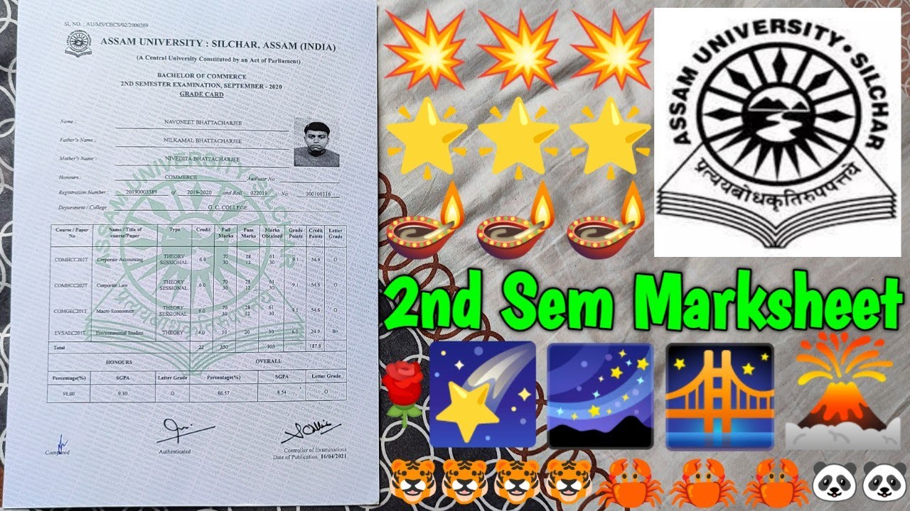 Assam University 2nd Semester Marksheet 2020 | Bcom Hons Marksheet ...