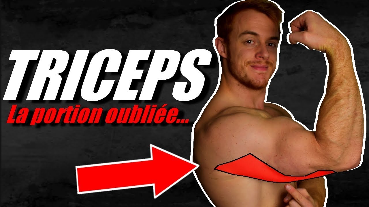 Longue Portion des TRICEPS = Secret des Gros Bras - YouTube
