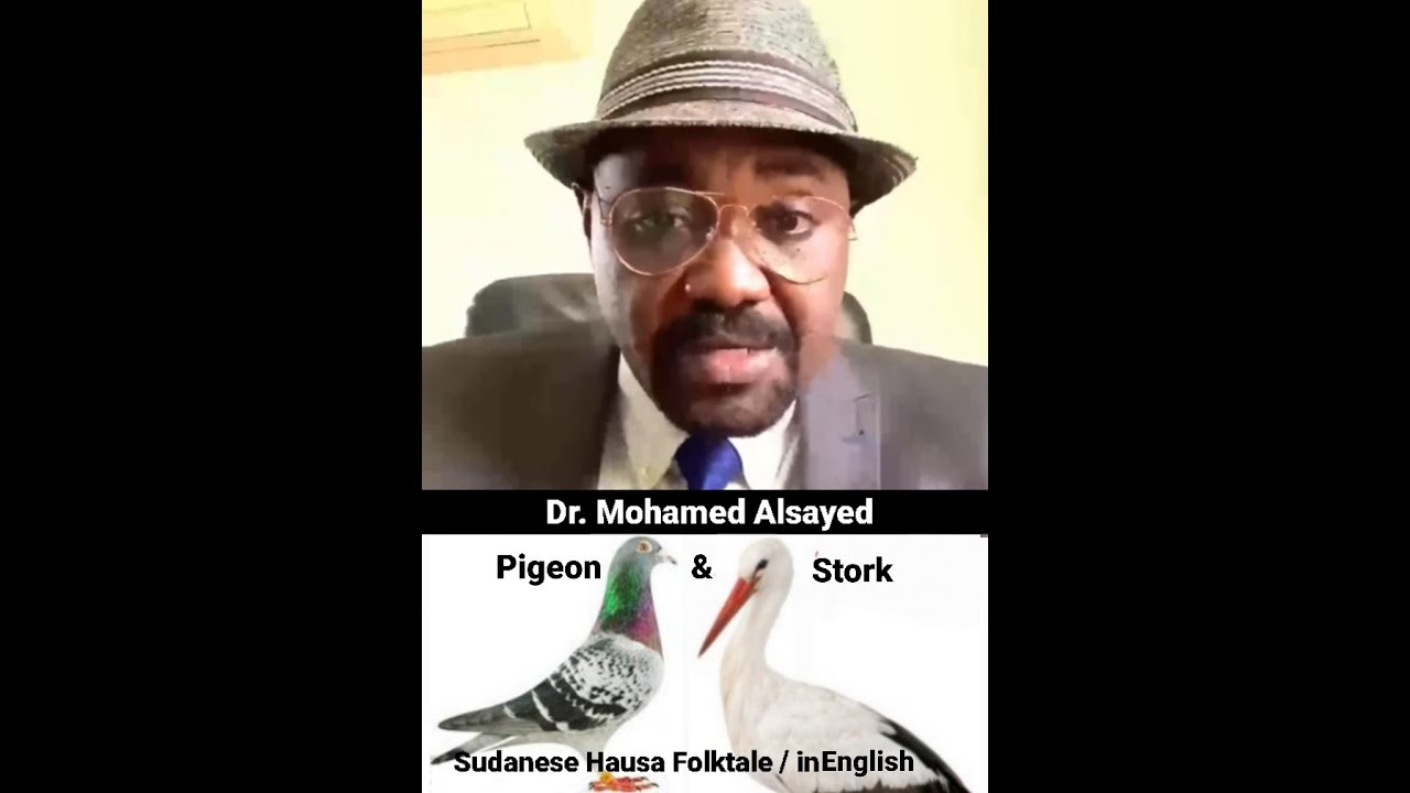 Pigeon & Stork | Sudanese Hausa Folktale - YouTube
