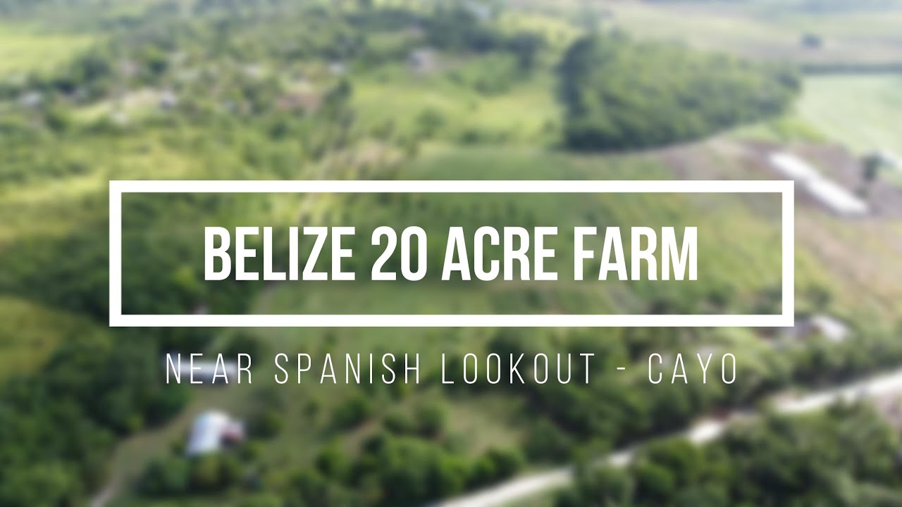 Belize Organic Farm - Cabin, Fruit Trees, Ponds & Jungle - YouTube