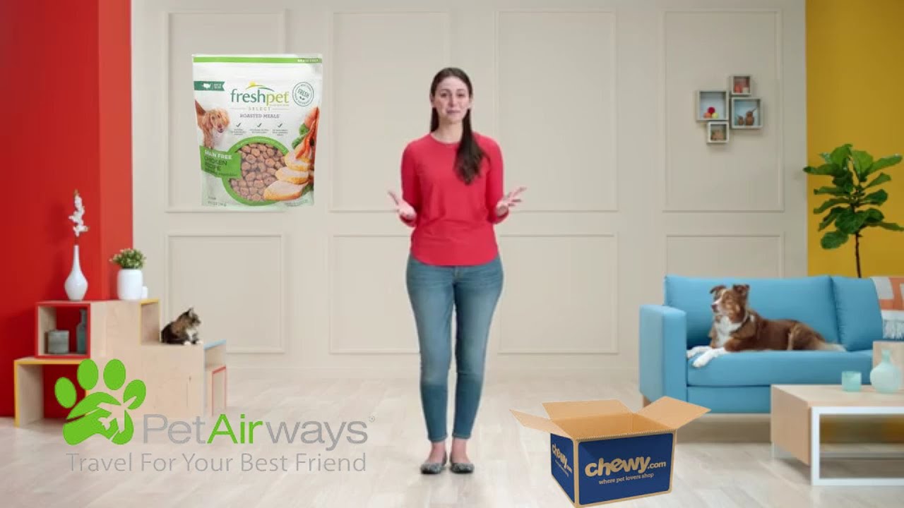Guess Which Pet Commercial Is Real - YouTube