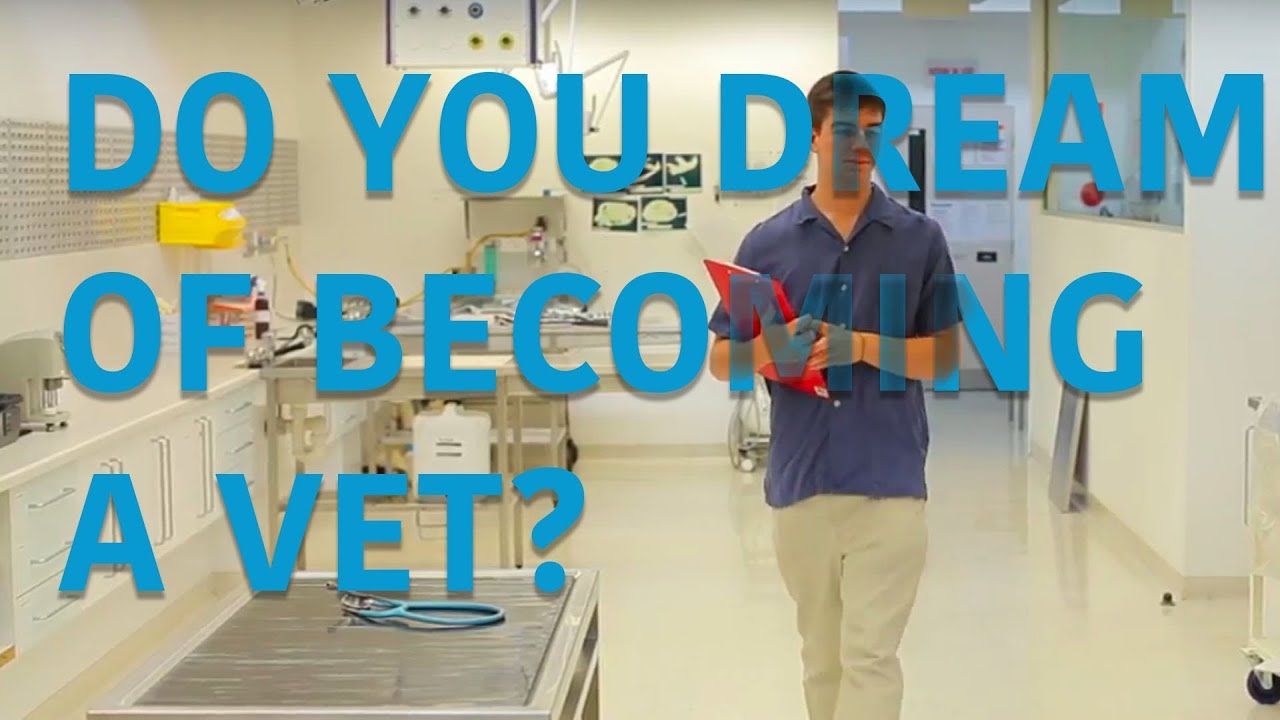 Do You Want To Become A Vet YouTube do-you-want-to-become-a-vet-youtube