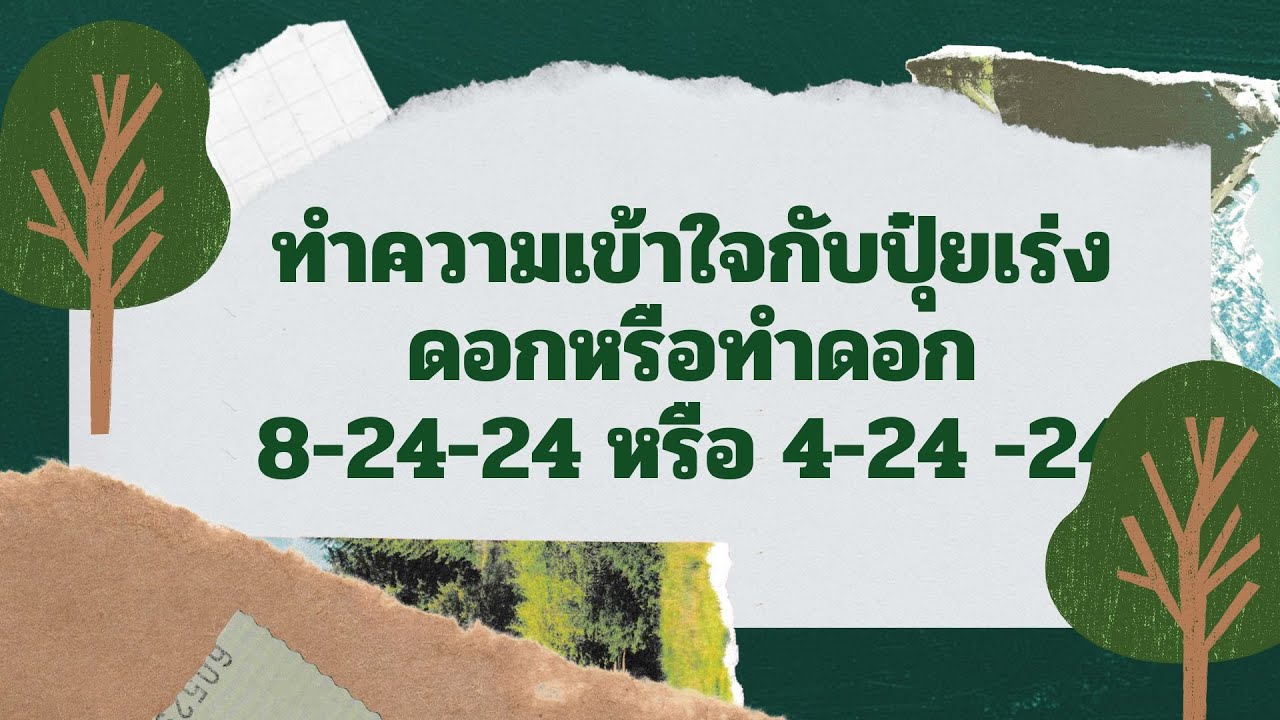 ปุ๋ยทำดอก 8-24-24 ใช้กันยังไงได้บ้าง - YouTube