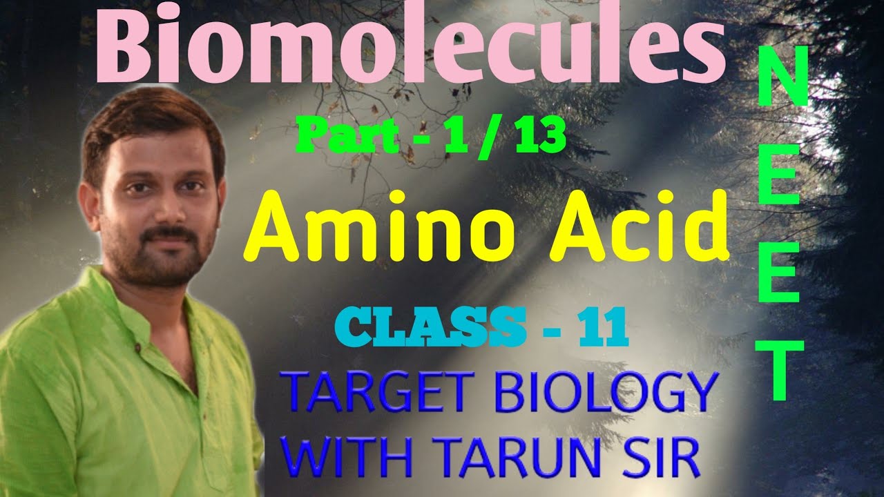 Amino Acids | Biomolecules | Part -1| UNIT III @ | CLASS - 11 biology ...