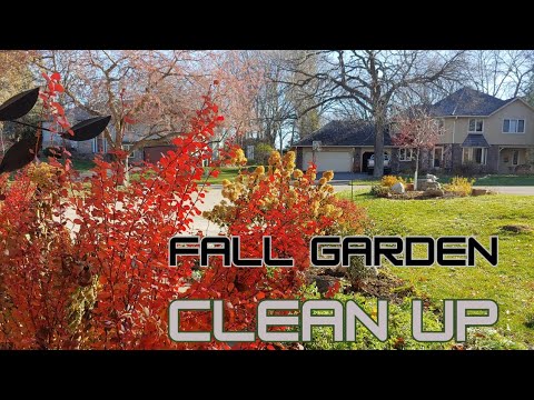 🍁 Fall Garden Clean Up: Get Your Garden Ready For Winter ! ️ Cutting ...