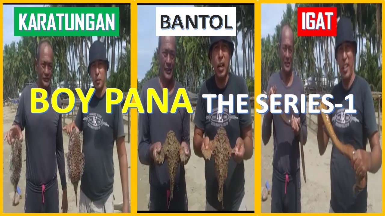 SPEARGUN FISHING / BANTOL (STONE FISH) / KARATUNGAN (BIRDBEAK BURNFISH ...