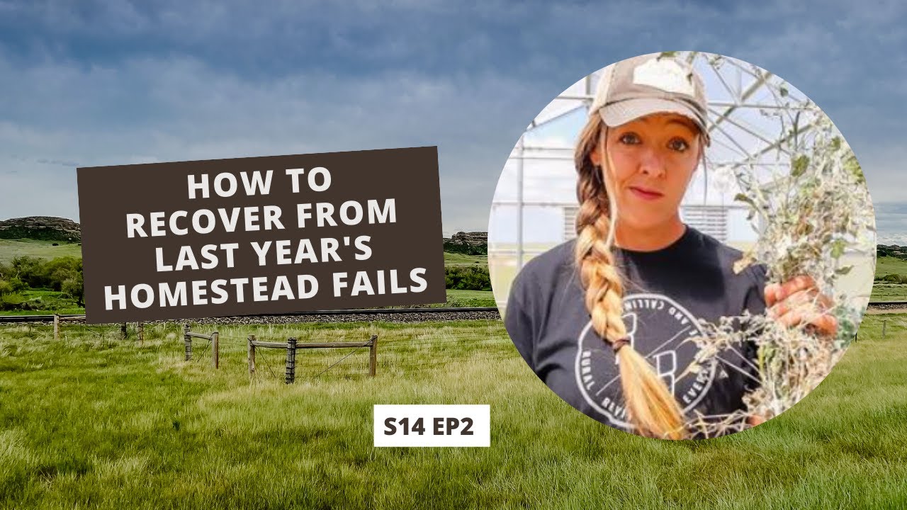 S14 E2: How to Recover from Last Year's Homestead Fails - YouTube