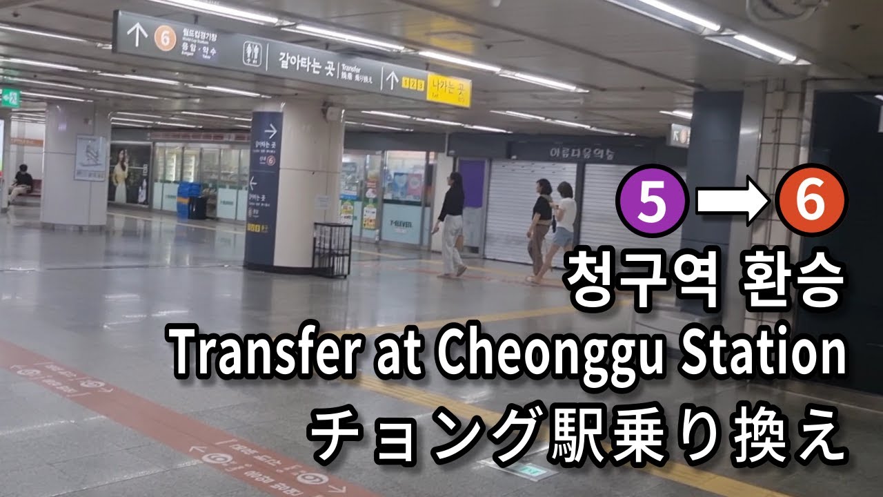 [서울지하철] 청구역 5호선에서 6호선으로 환승 | Subway Transfer at Cheonggu Station, Seoul ...