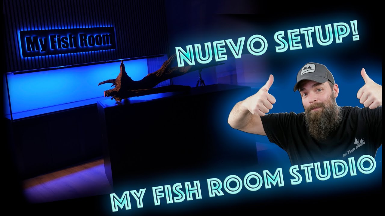 Nuevo setup My Fish Room Studio TOP!!! - YouTube