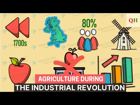 What was the Agricultural Revolution (during the Industrial Revolution ...