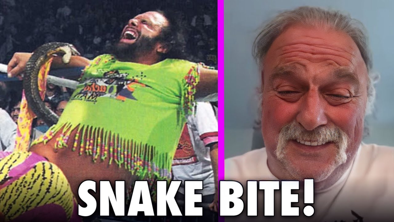 The Truth About When Jake Roberts’ Snake Bit Macho Man Randy Savage ...