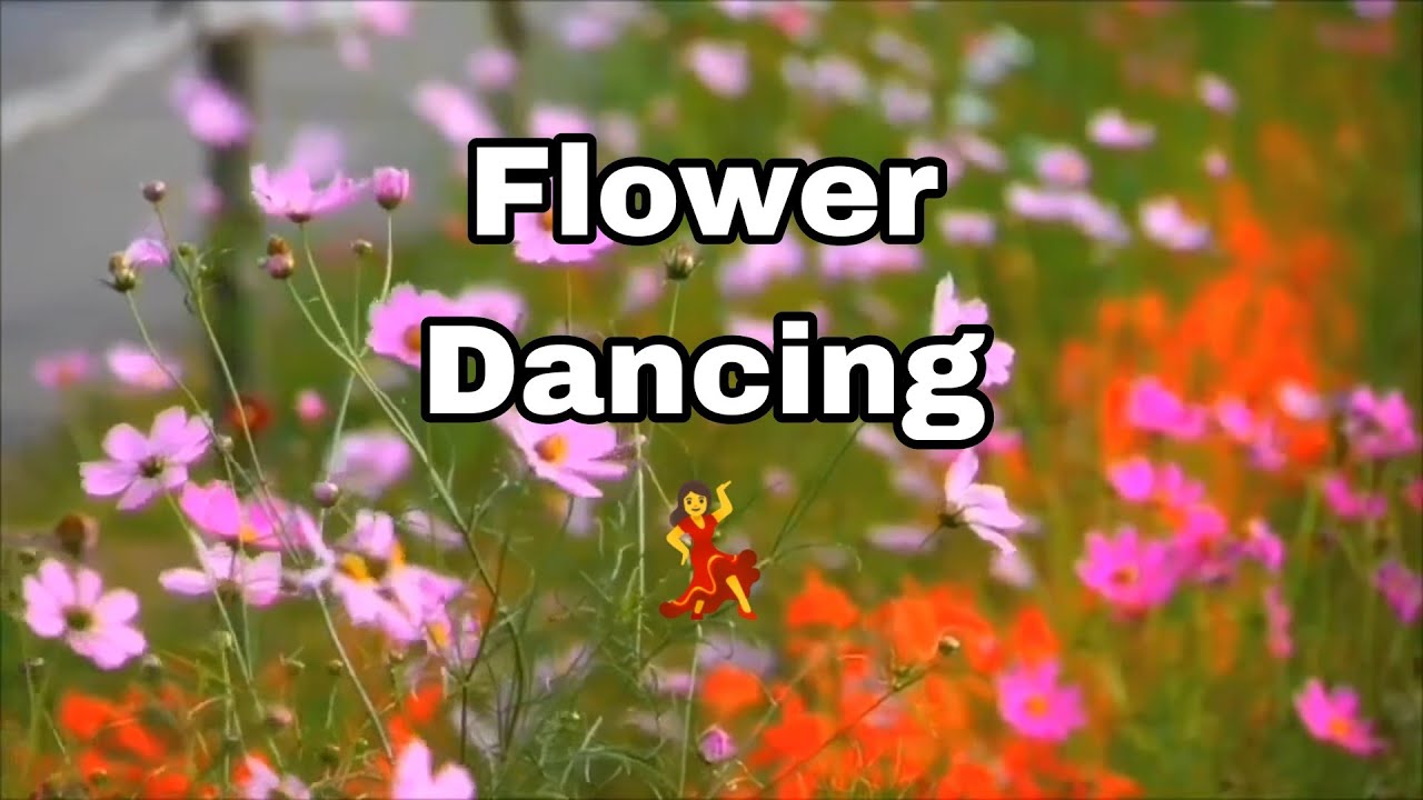 Flowers Dancing in the Wind 🌬️🌸 - YouTube