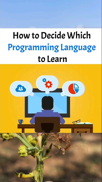 Picking Your First Programming Language: A Simple Guide for Beginners - YouTube