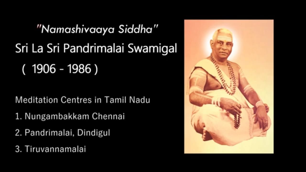 SIDDHA PRAYER - "Sakthe Swamigal" Blesses Devotees with Pandrimalai ...