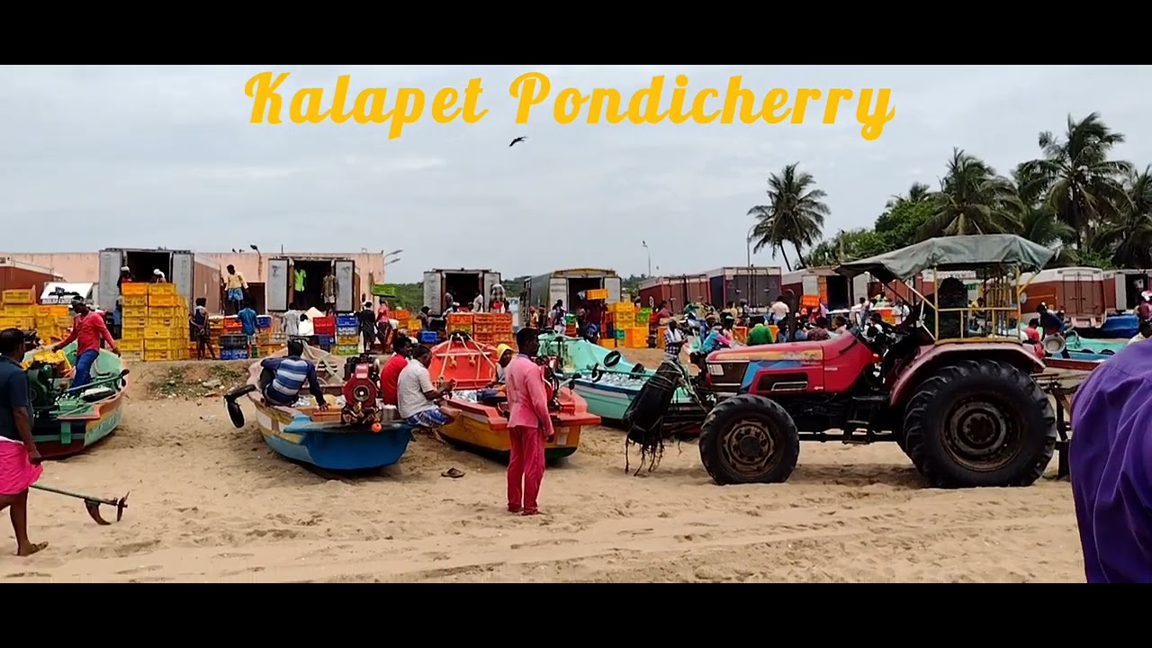Pondicherry fish | kalapet beach - YouTube