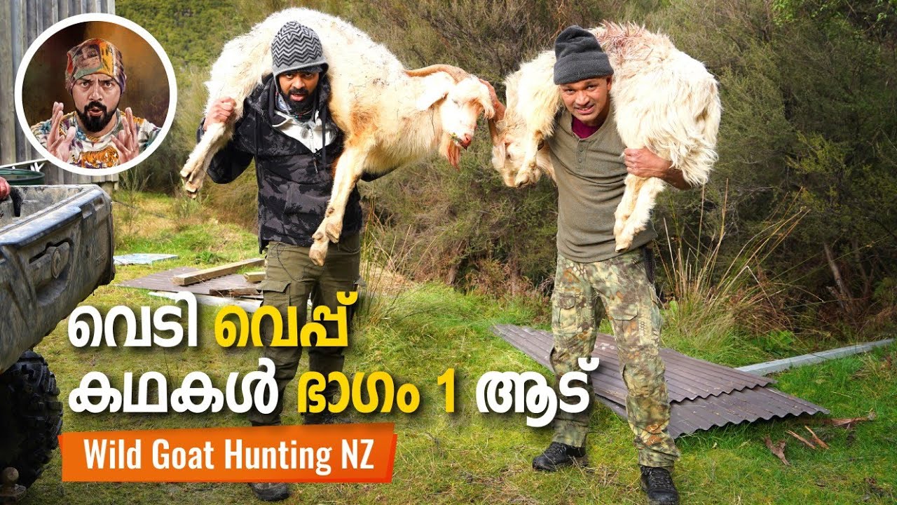 ആട് വേട്ട, Goat hunt, best hunting video, wild goat hunt, hunting NZ ...