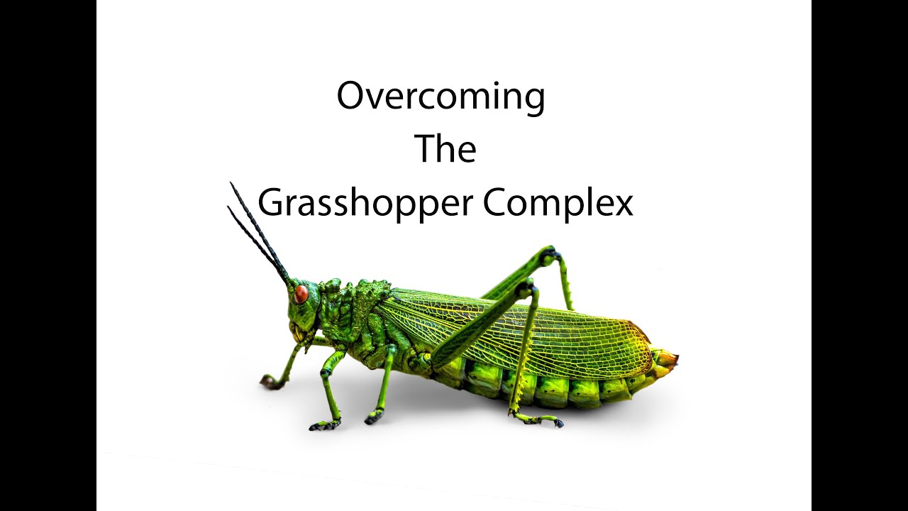 OVERCOMING THE GRASSHOPPER COMPLEX - YouTube