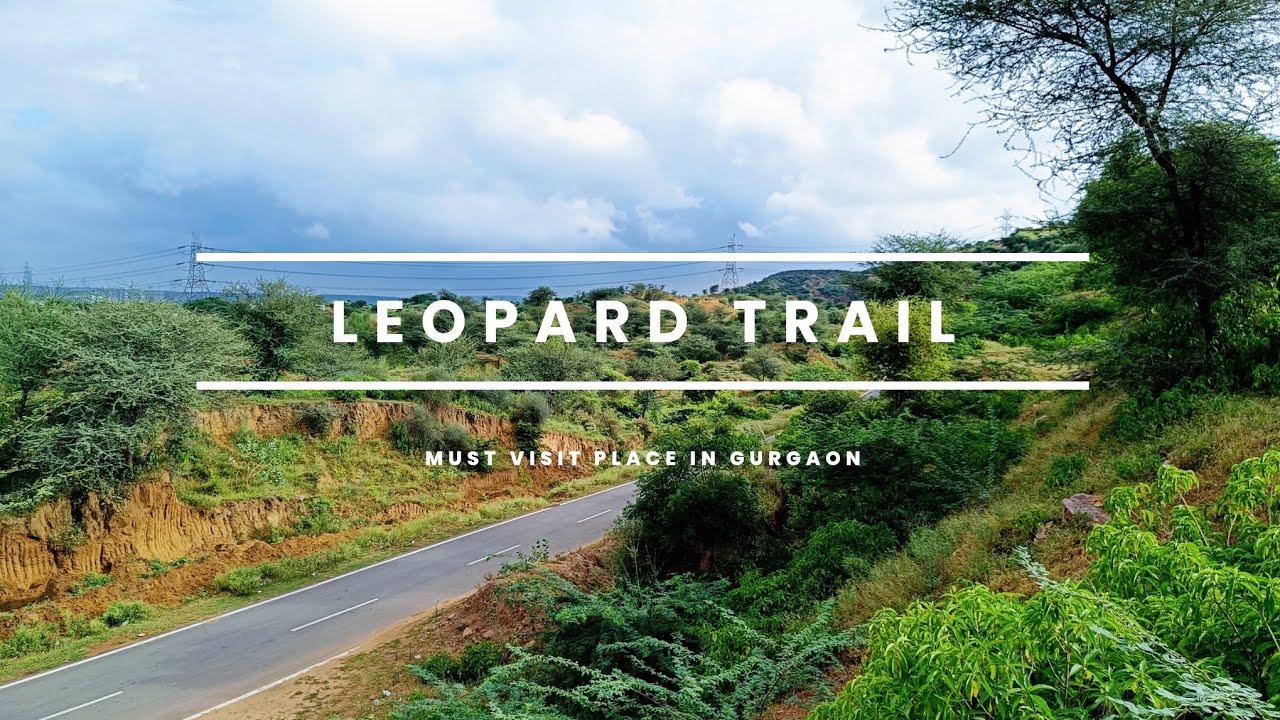 Leopard Trail Gurgaon | Must visit place nearby Delhi-NCR | Weekend ...