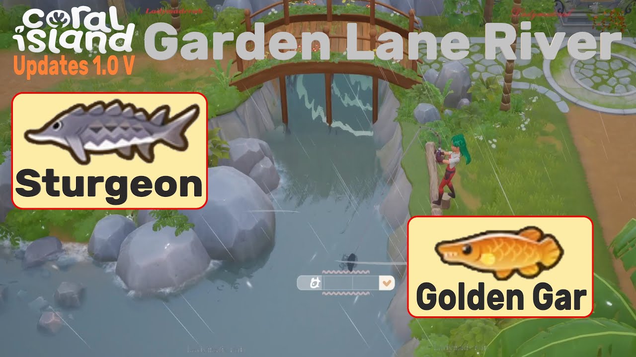 Sturgeon + Golden Fish Gar CORAL ISLAND - YouTube