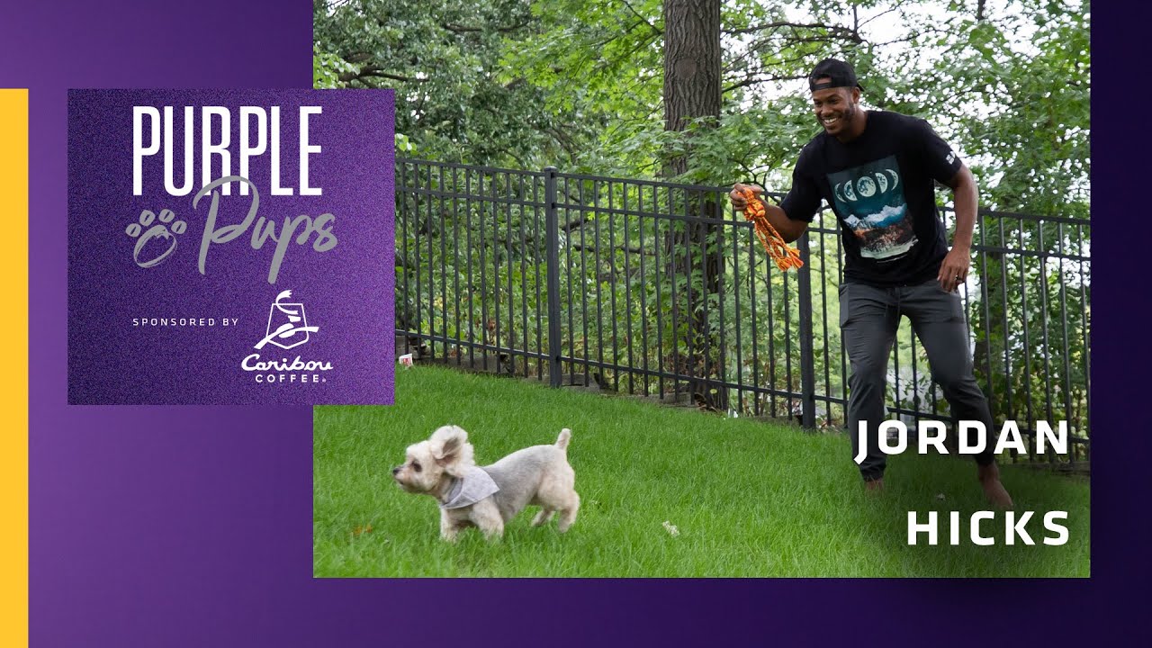 Purple Pups Featuring Jordan Hicks & His Dogs Precious, Napoleon and ...