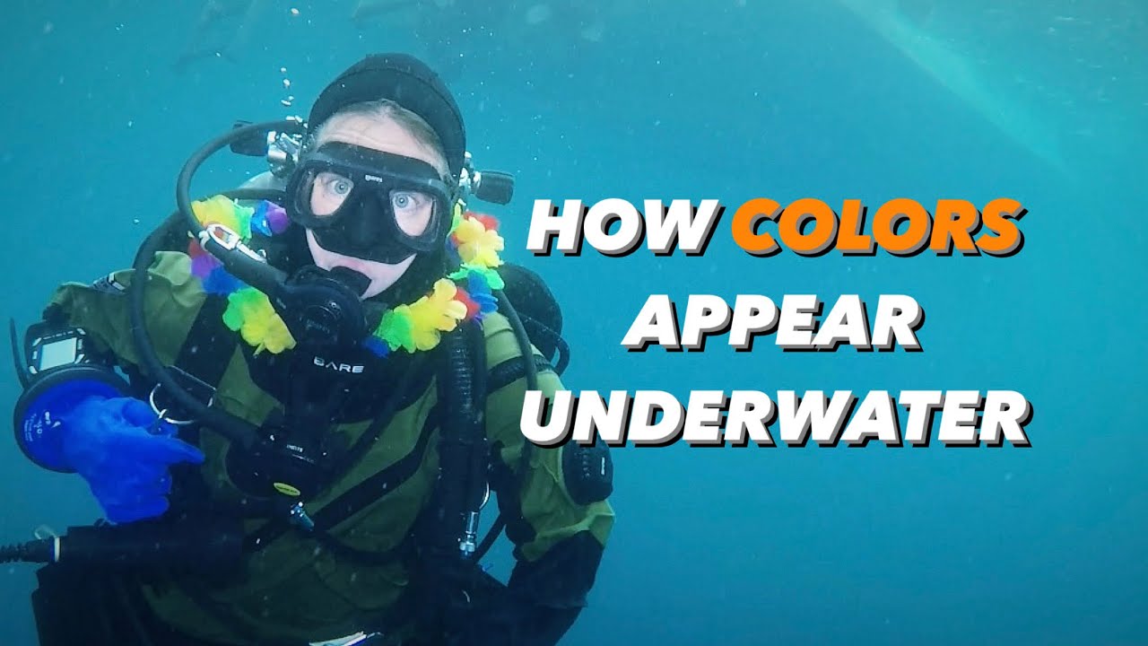 Why colors disappear underwater 🐠🌈 - YouTube