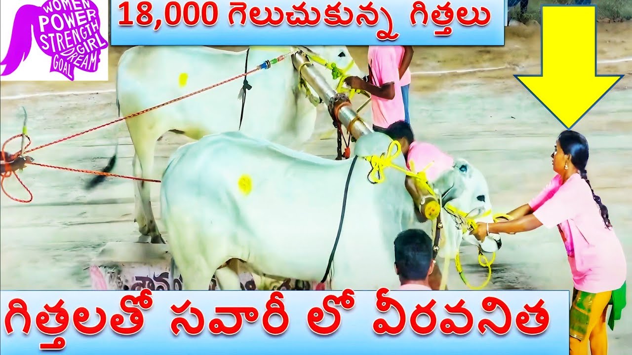 Edla pandalu WOMEN in the action Mellacheruvu ! Yadla pandalu, Abdula ...