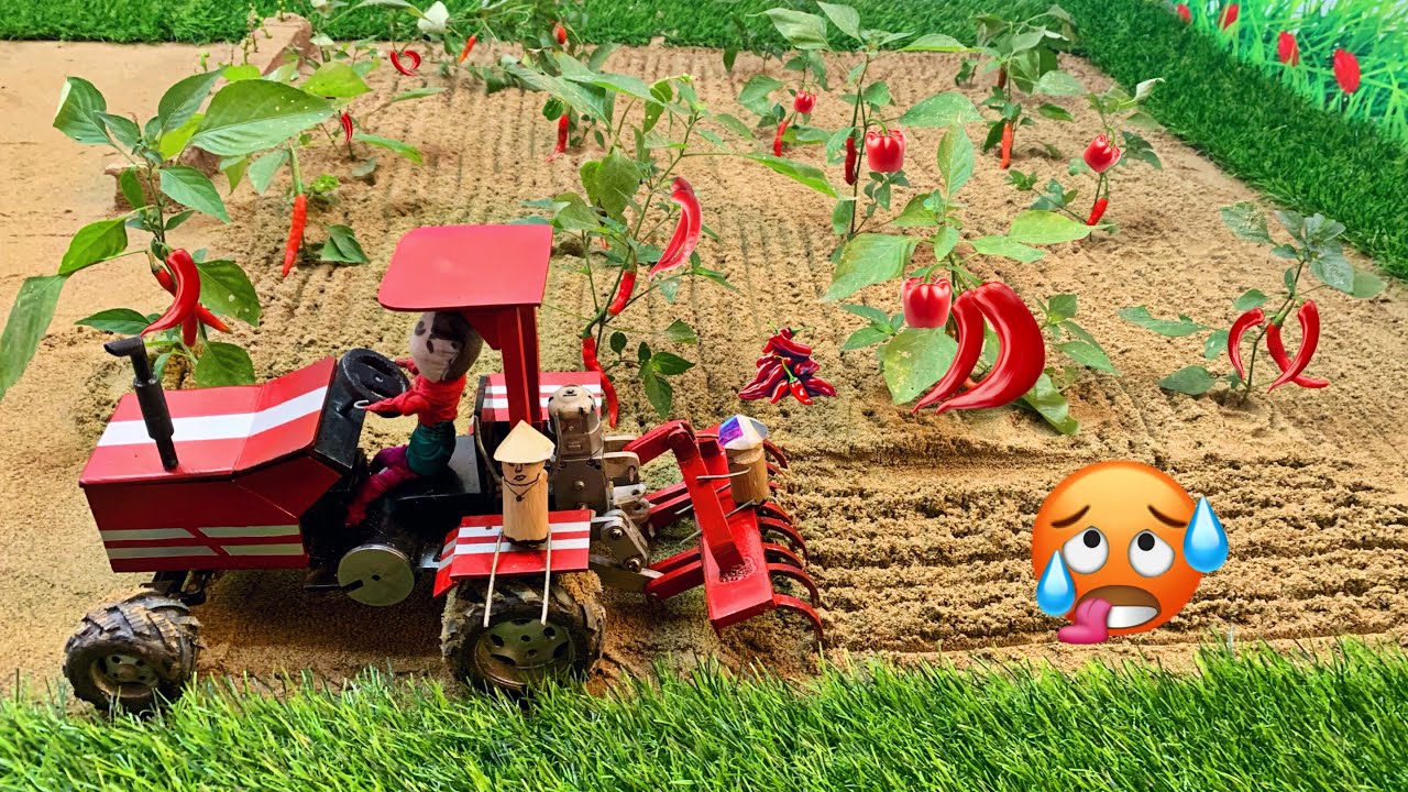 Hot Spicy Chili || Diy Mini Tractor Making Spicy Chilli Farming ...