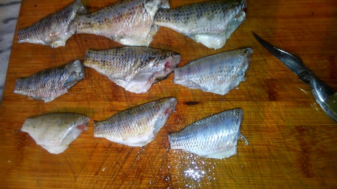 Fish Hunting And Cooking In Pakistan |Urdu|Hindi| - YouTube