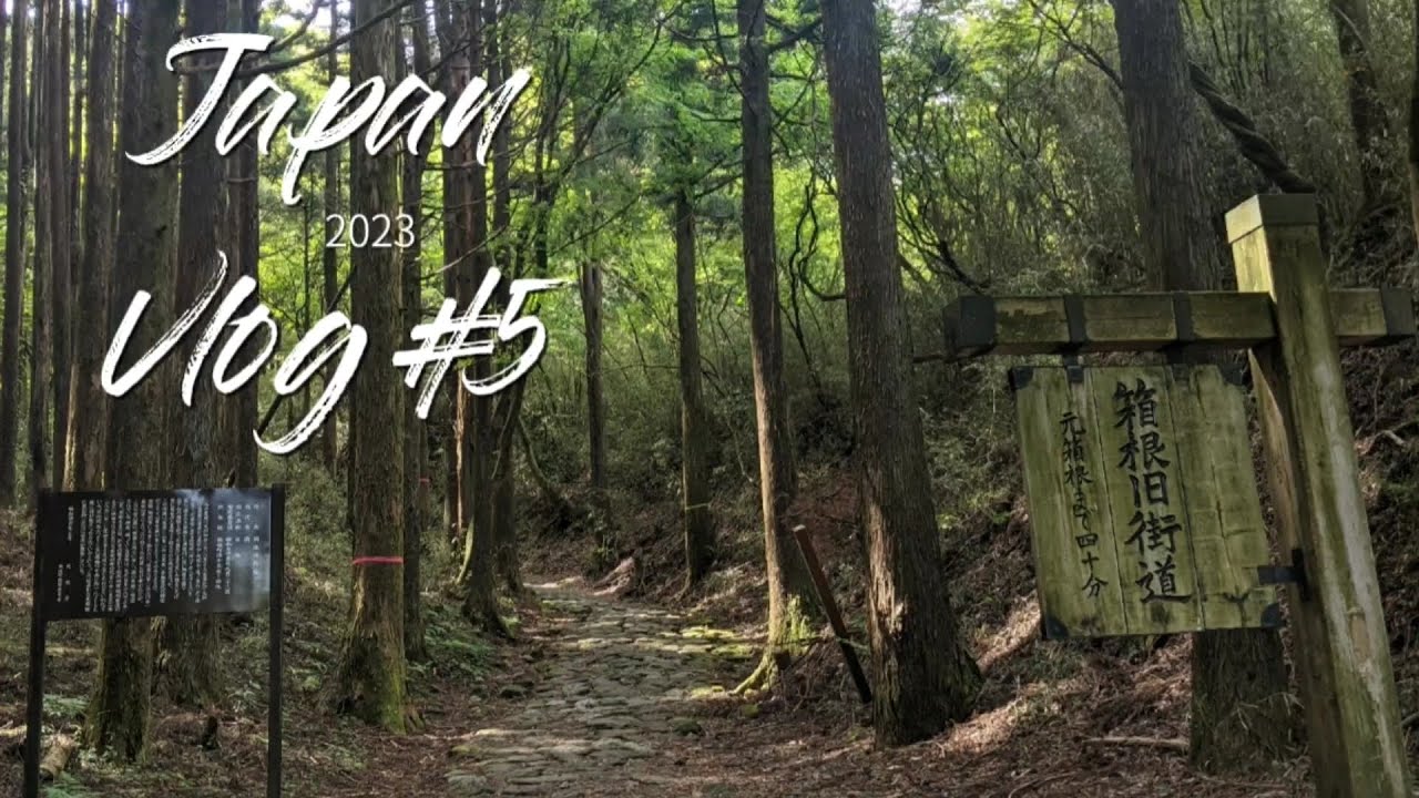 Japan Vlog 5: Hakone, Amasake Tea House, Old Tokaido Road hike, Lake ...