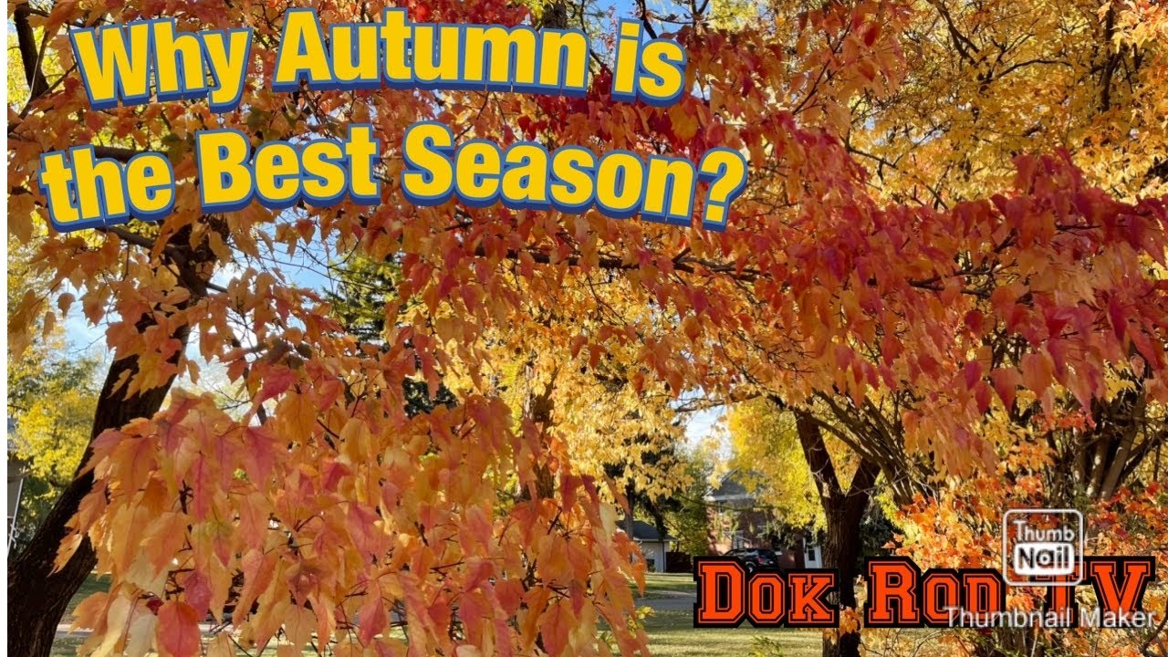 WHY AUTUMN IS THE BEST SEASON? - YouTube
