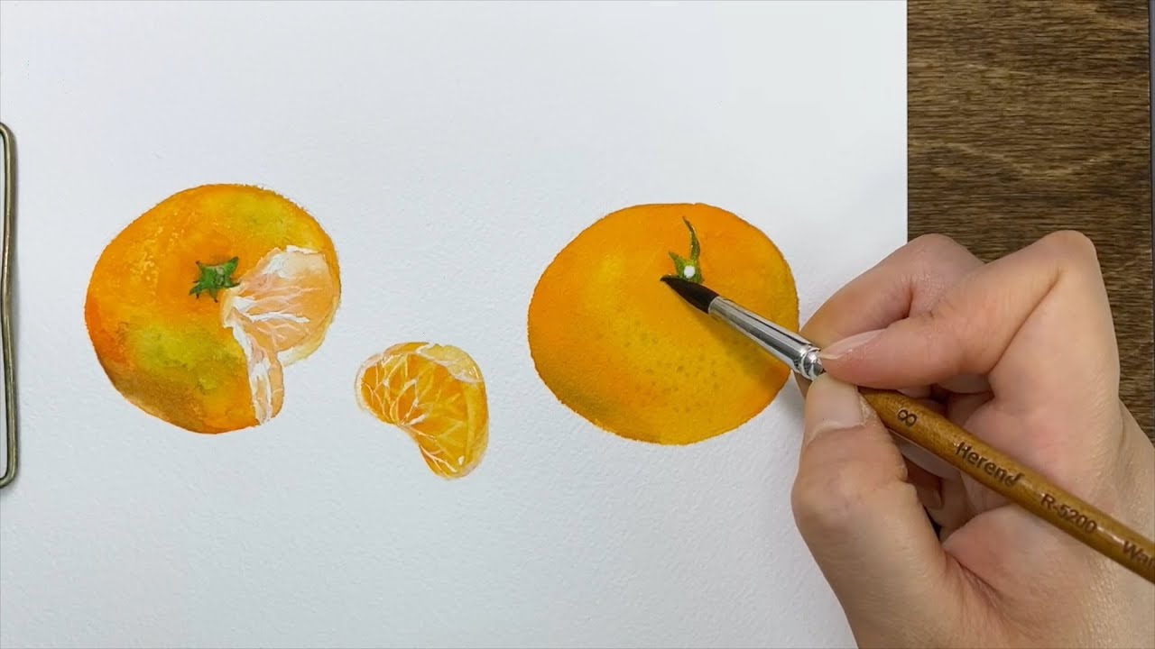 수채화로 귤 그리기 / Watercolor / Mandarin drawing - YouTube