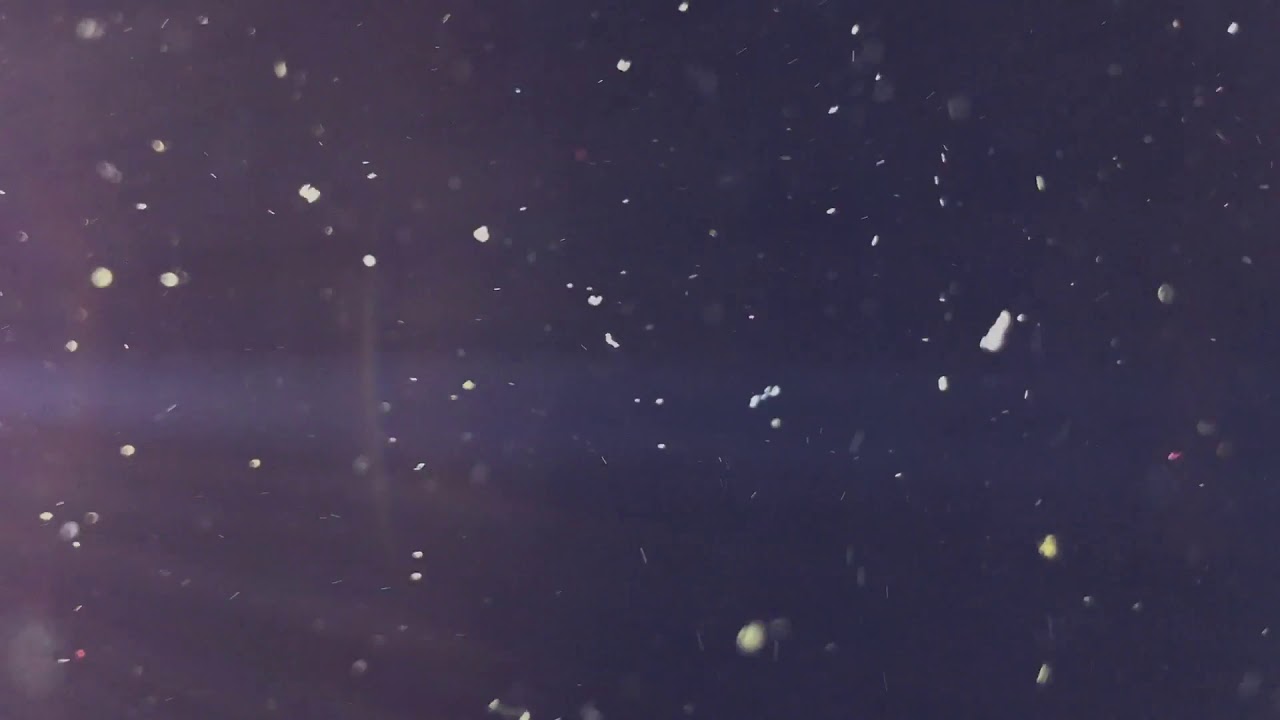 Various Granularity Dust Particles Flying - Free HD Vfx Footage - YouTube