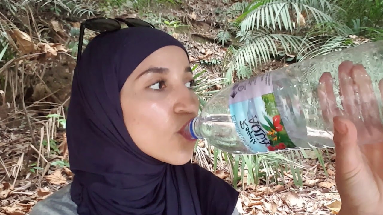 UNE BALADE EN FORET | BUKIT THIMA RESERVE SINGAPOUR - YouTube