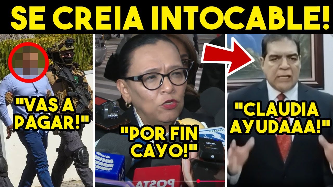 SE ACABO! CAE SENTENCIA FINAL, PAGA EL 1NFELIZ. TIGRE SE LEVANTA, LLEGA ...