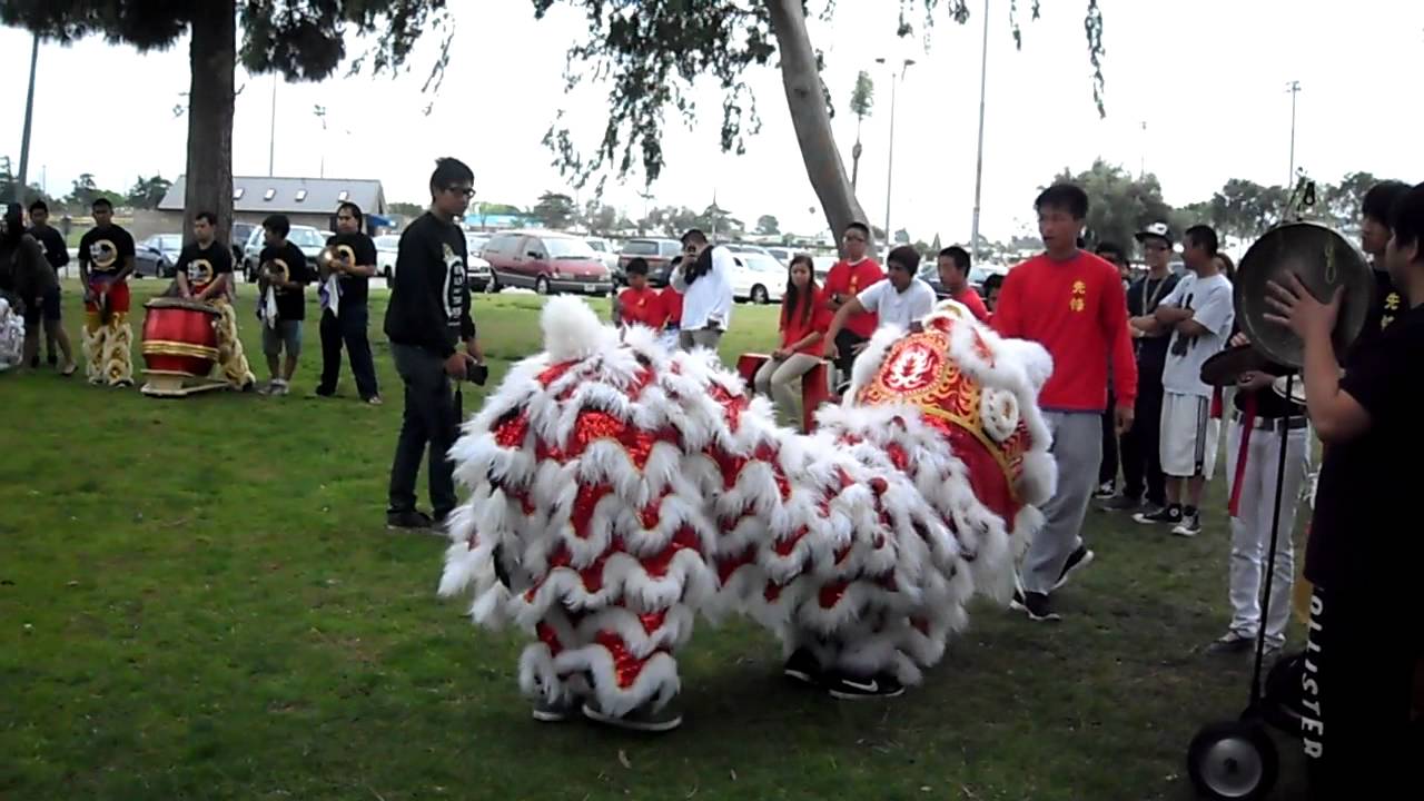 Lions Bowing to Each Other - YouTube
