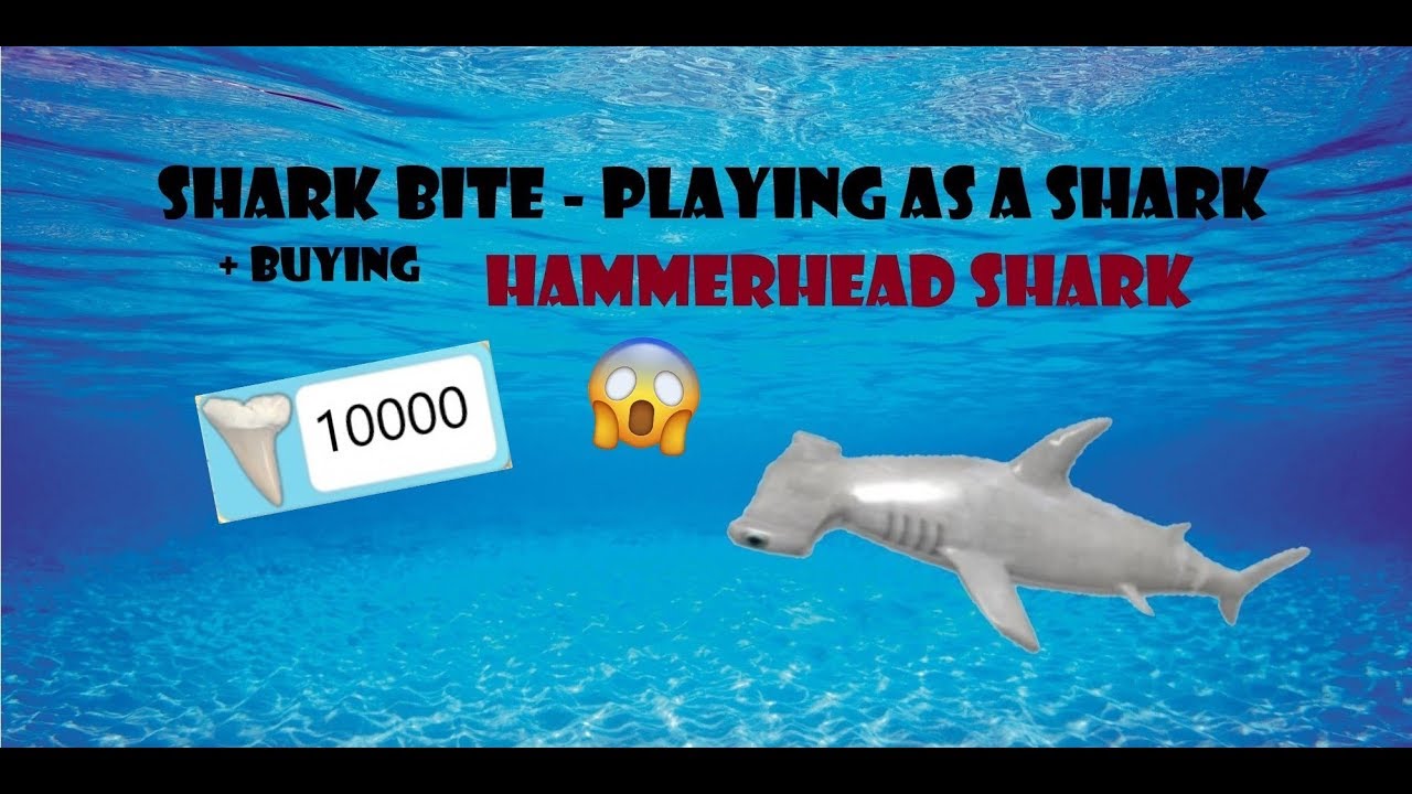 SHARK BITE - BUYING HAMMERHEAD + PLAYING AS A SHARK - YouTube